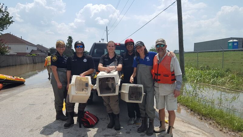 Animal Cruelty Investigations – Constable Alan Rosen